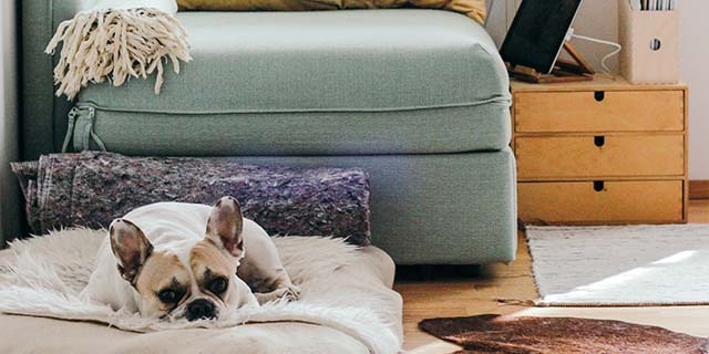 french bedroom promo code